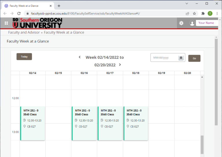 Banner Self-Service for Faculty and Advisors - Information Technology ...